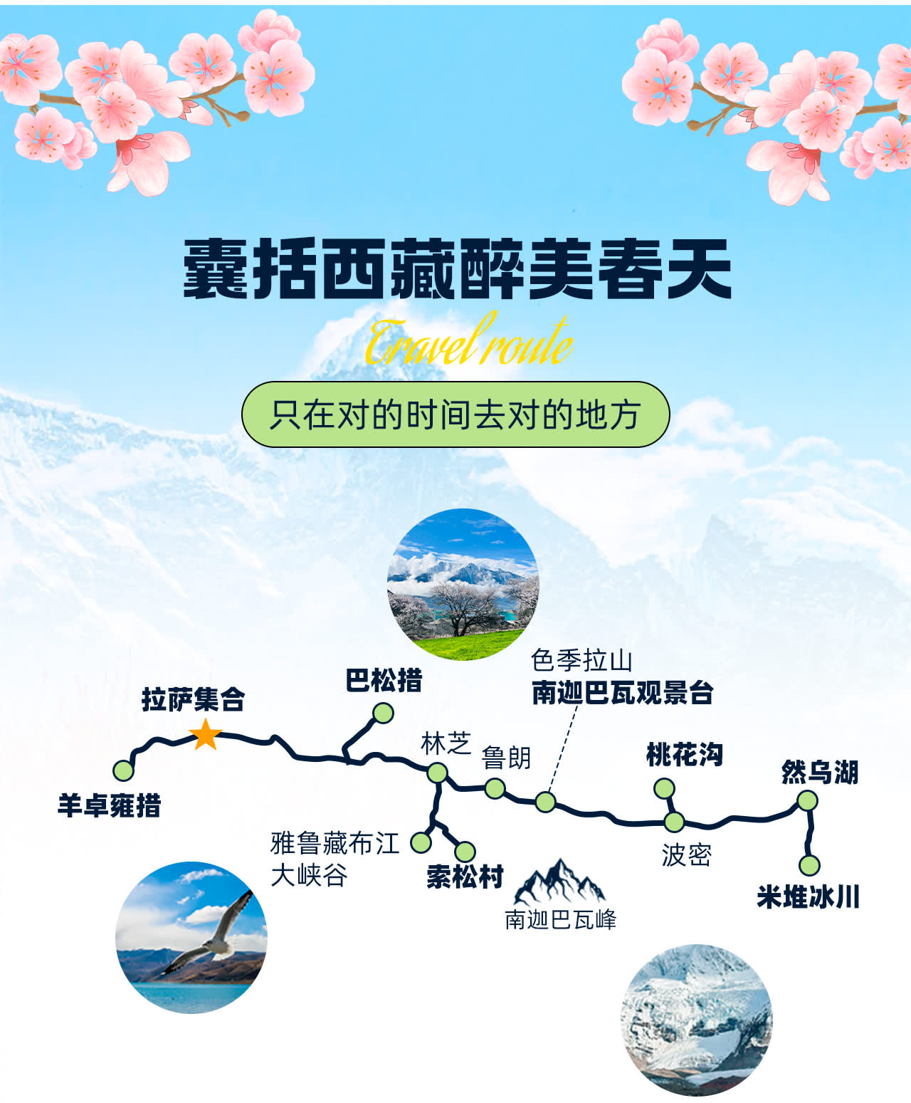 8-Day Tour of Tibet and Beautiful Nyingchi (Nyingchi Peach Blossom ...